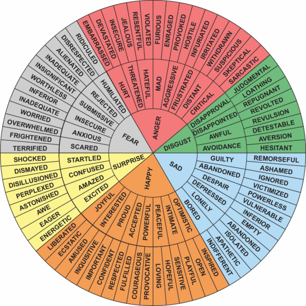 Assertiveness Lessons [Secondary]